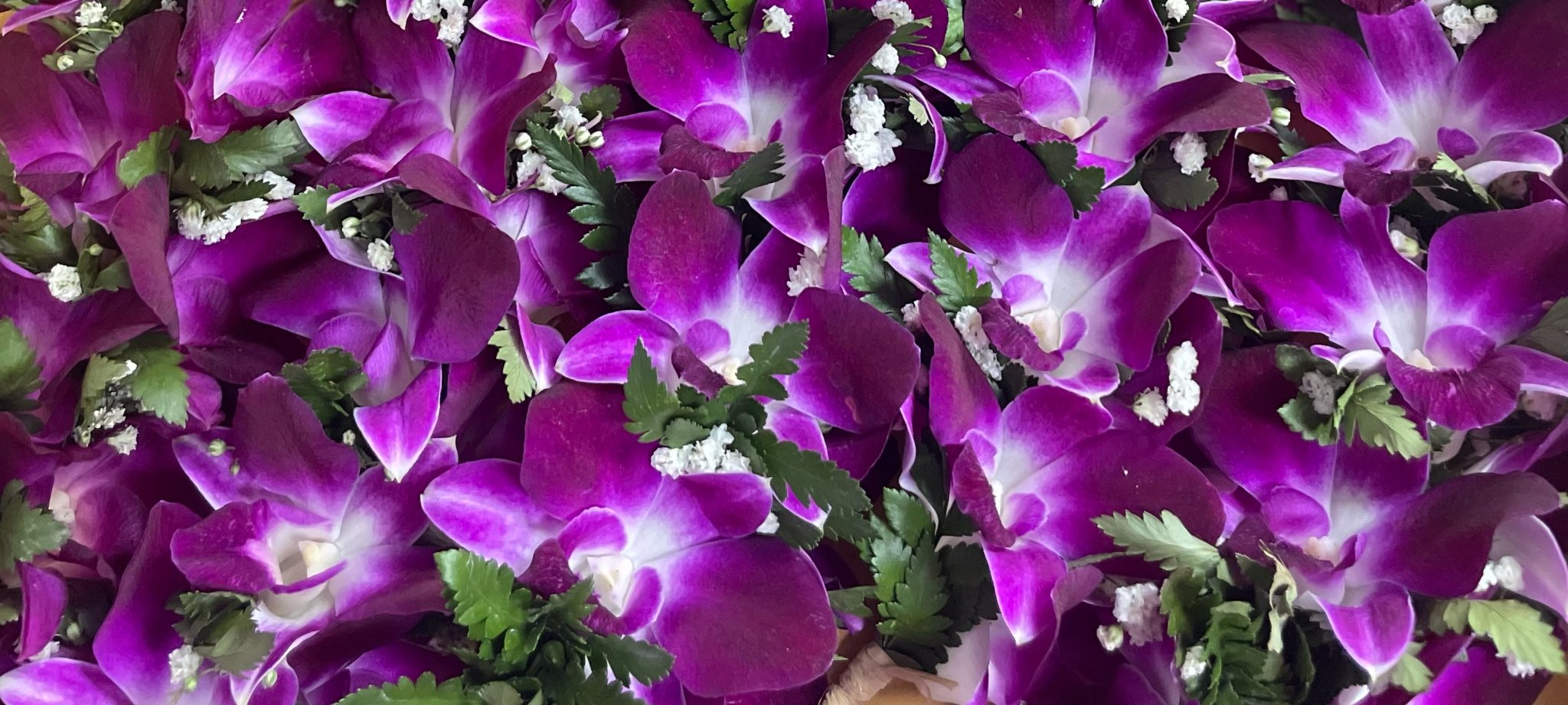 What is the meaning of a lei? – Leilanis Leis