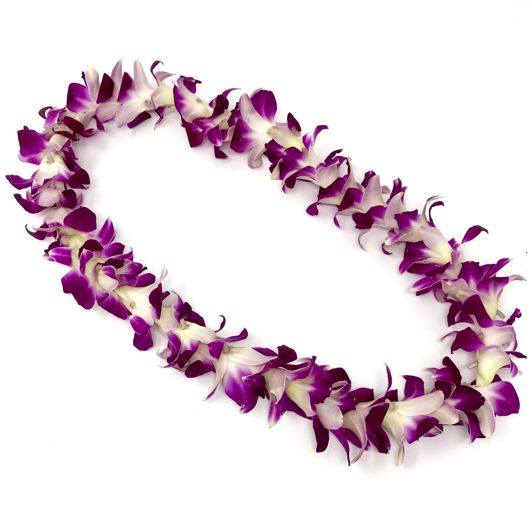 Classic Poni Honi and Ti Leafy Graduation Package – Leilanis Leis