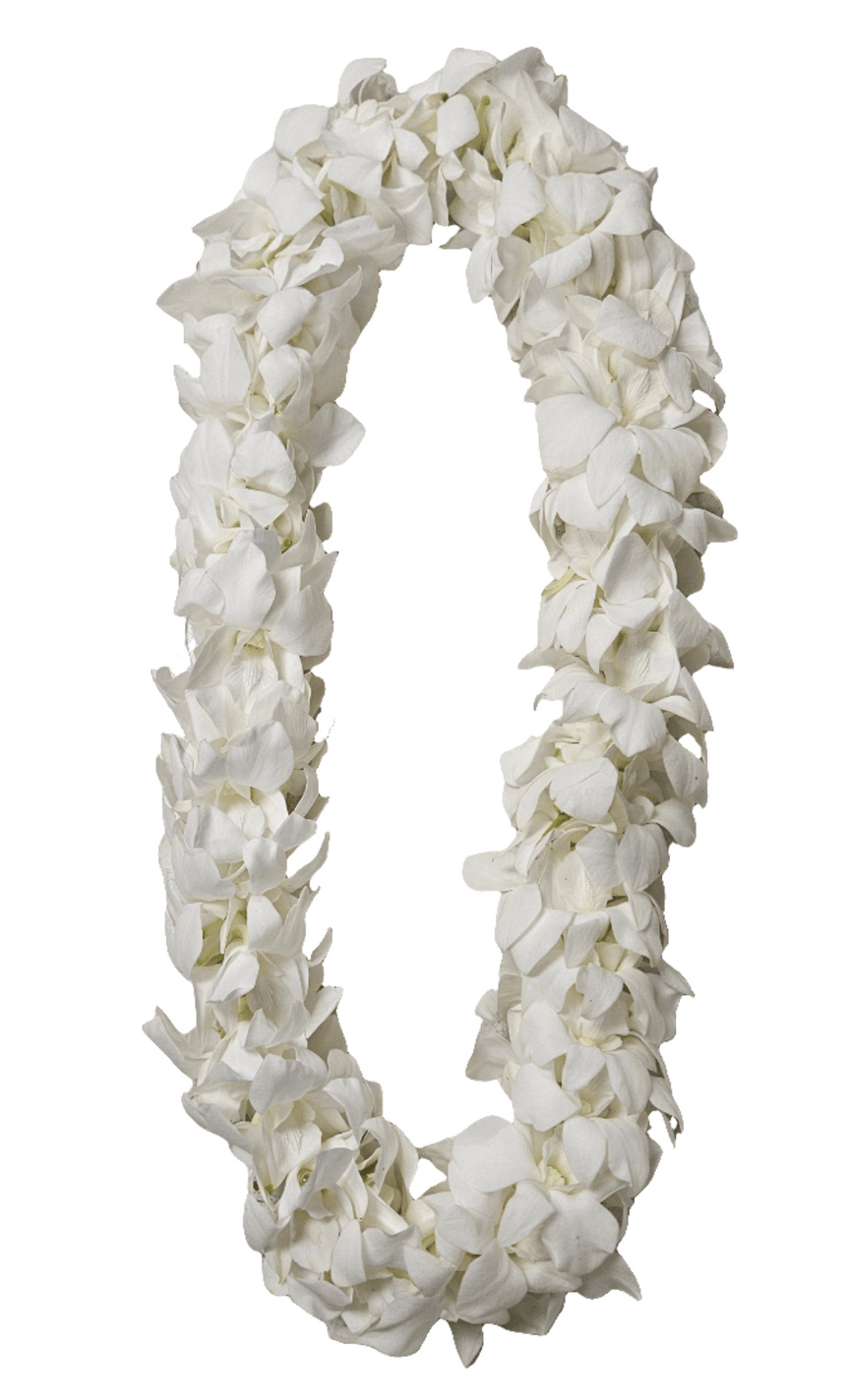 Graduation Leis | Leilanis Leis | Shipped Nationwide